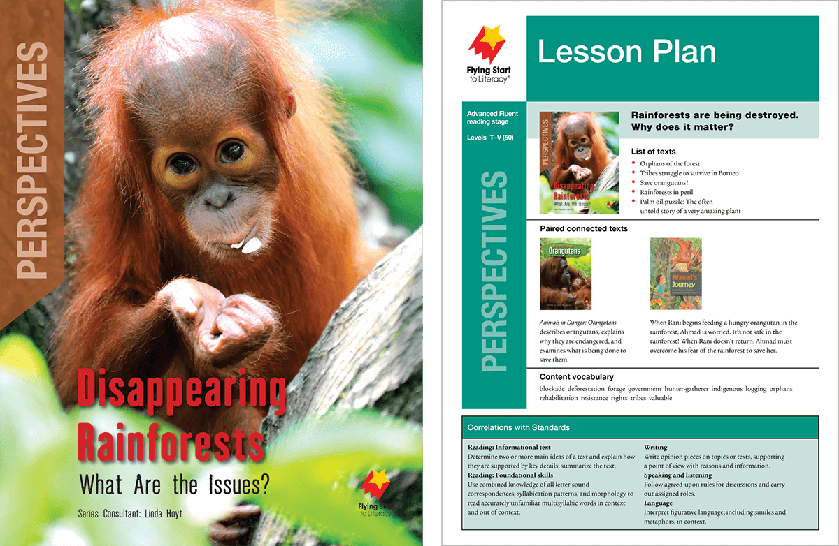 Program Components - Flying Start to Literacy