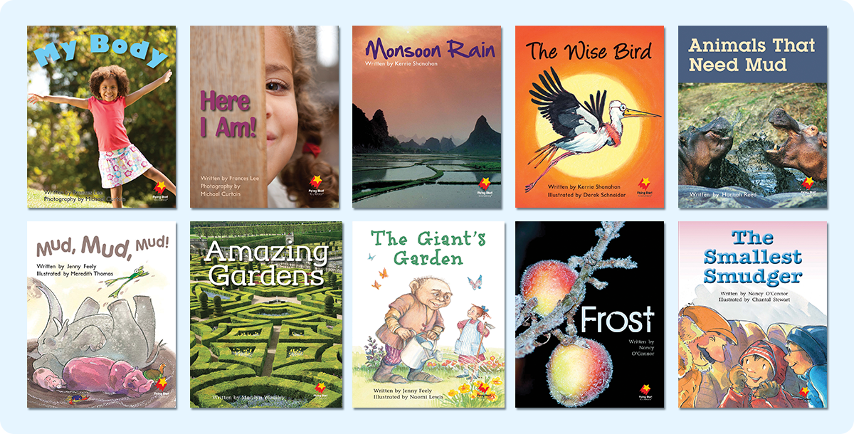 Program Components - Flying Start to Literacy